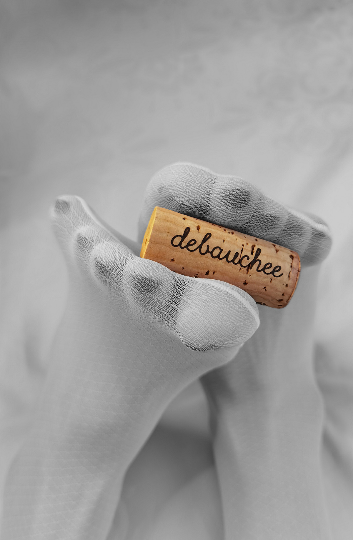 Gallery - Debauchee